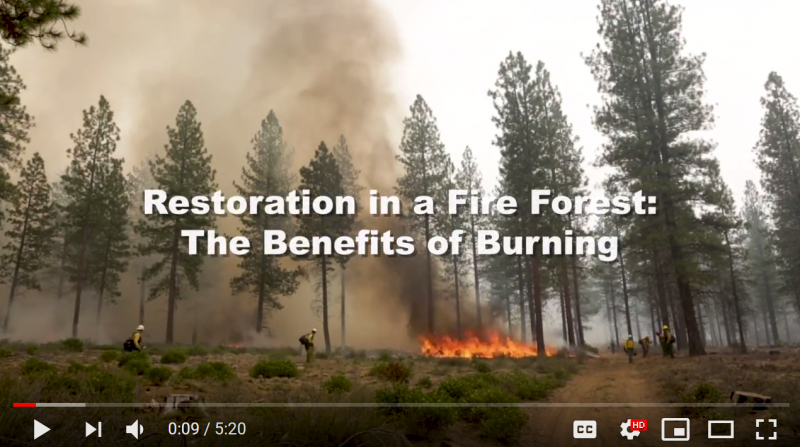 Northwest Fire Science Consortium